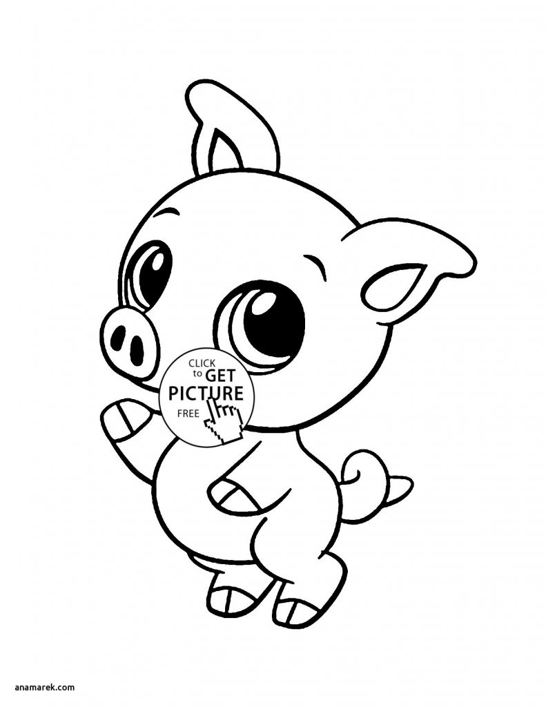 Cute little turtle coloring page free download and printable ...