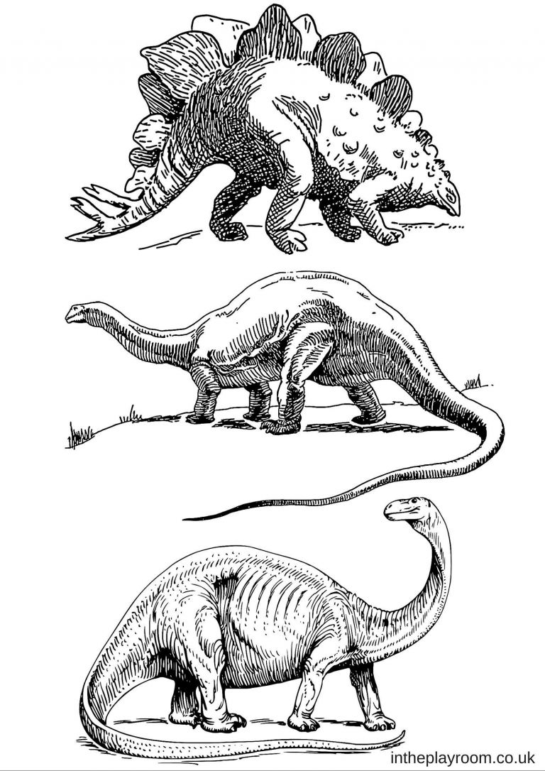 Cute T Rex Coloring Pages | BubaKids.com