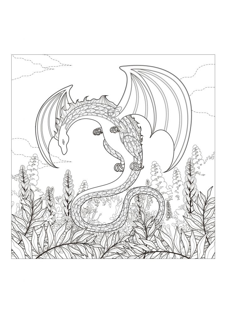 Free Online Dragon Coloring Pages | BubaKids.com
