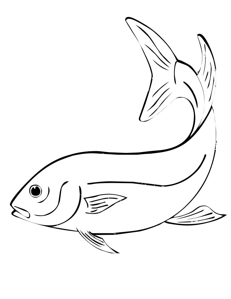 Siamese Fighting Fish Coloring Pages | BubaKids.com