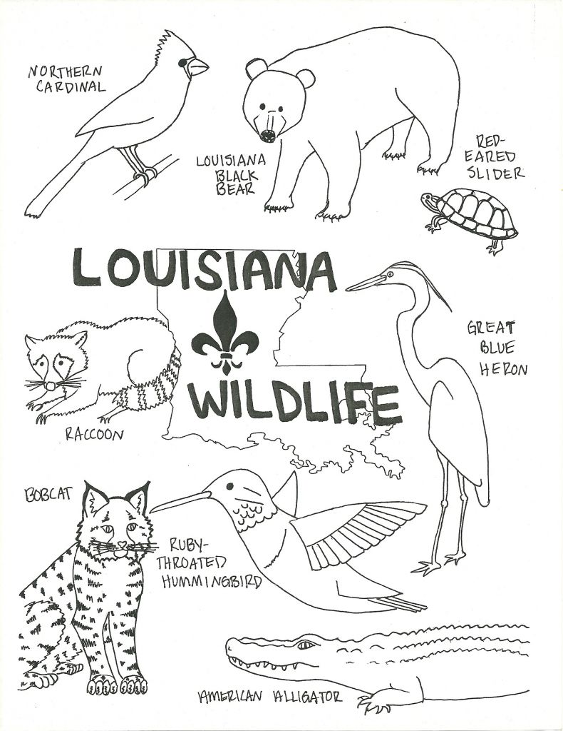 Swamp Animals Coloring Pages | BubaKids.com