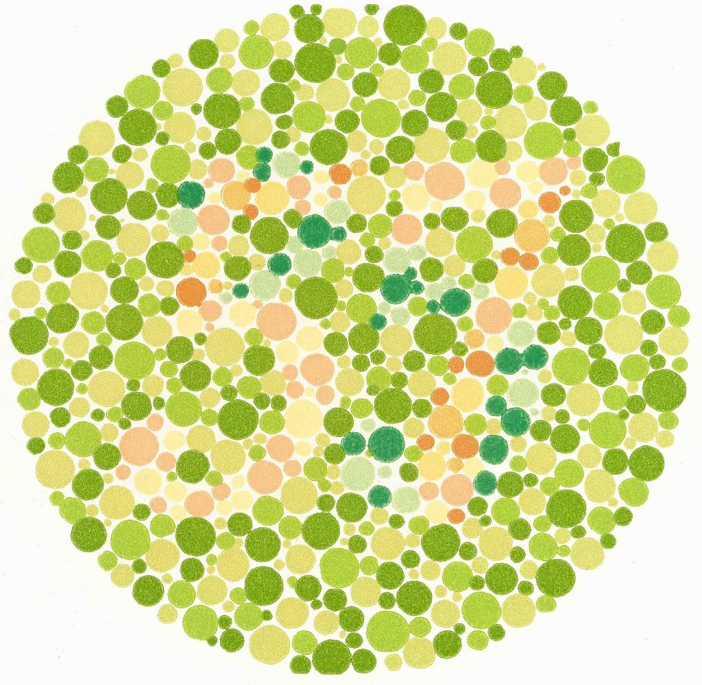 What Animals are Color Blind | BubaKids.com