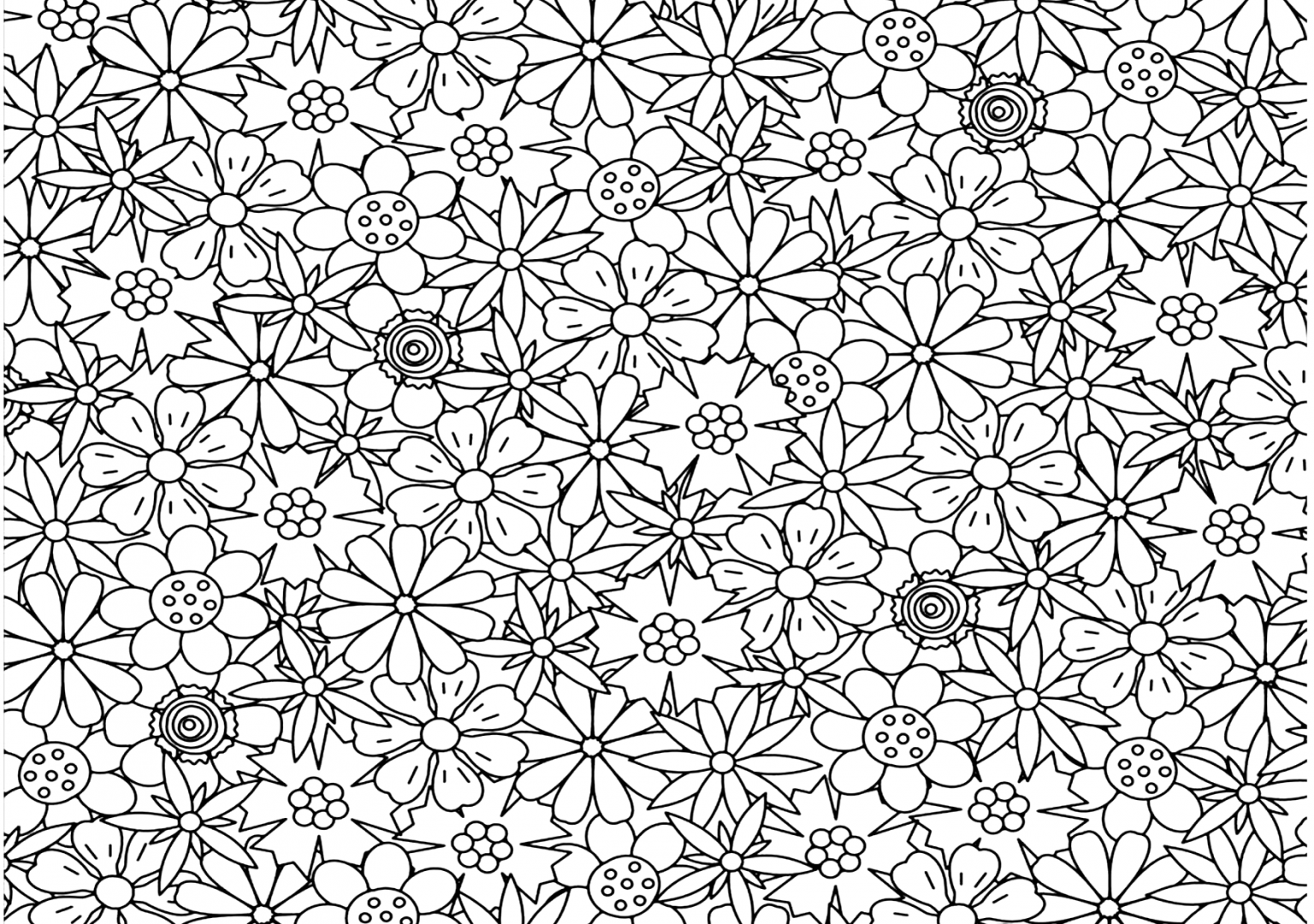 Beautiful blossom flowers coloring for kids and adults. | BubaKids.com