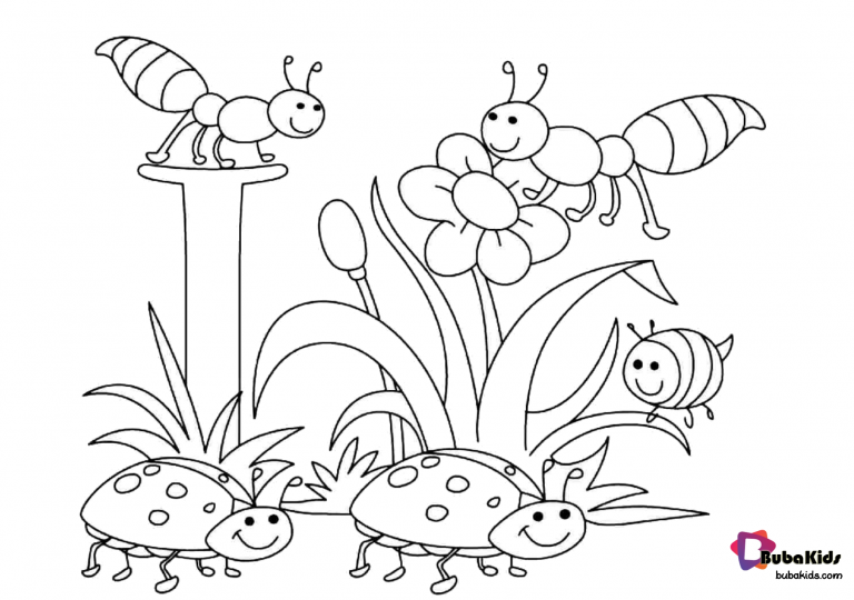 Free download simple and easy coloring page for preschool | BubaKids.com
